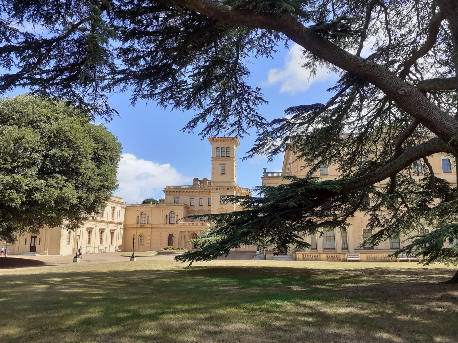 The romance of the Royal Myrtle Plant - And Royal Engagement Rings