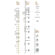 I1 Clarity Diamonds – What Does I1 Mean in Diamond Grading?